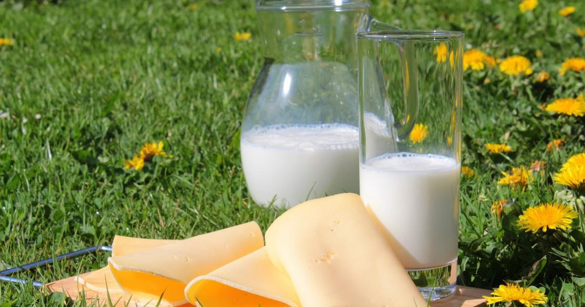 Por qué la leche de vaca sí que debe formar parte de tu dieta