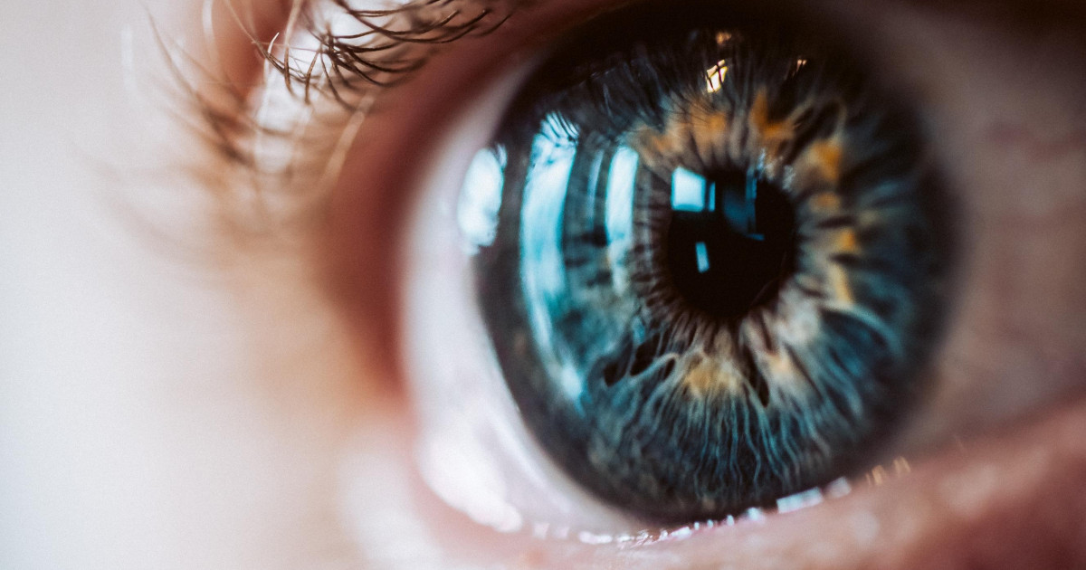 Logran revivir la actividad del ojo humano después de la muerte