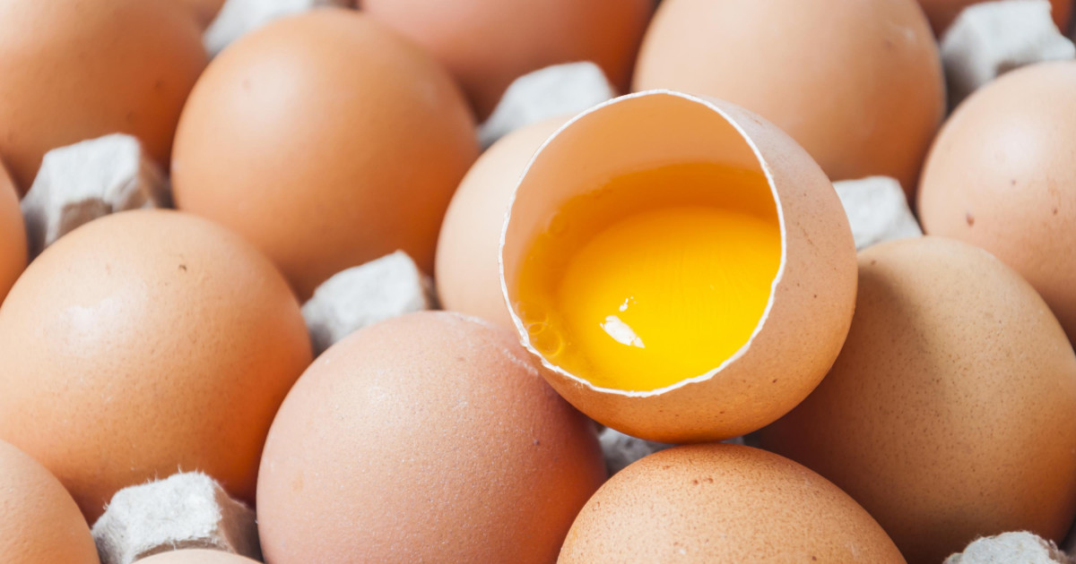 ¿Debo meter los huevos en la nevera? ¿Cuánto tiempo se conserva cocido?