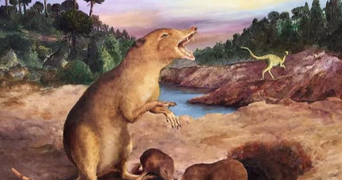Un ratón de 225 millones de años, el mamífero más antiguo del mundo ...