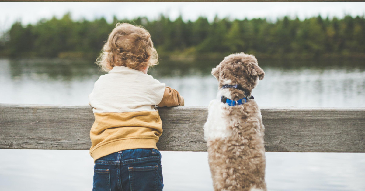El perro es el mejor amigo del hombre y los niños, sus mejores aliados