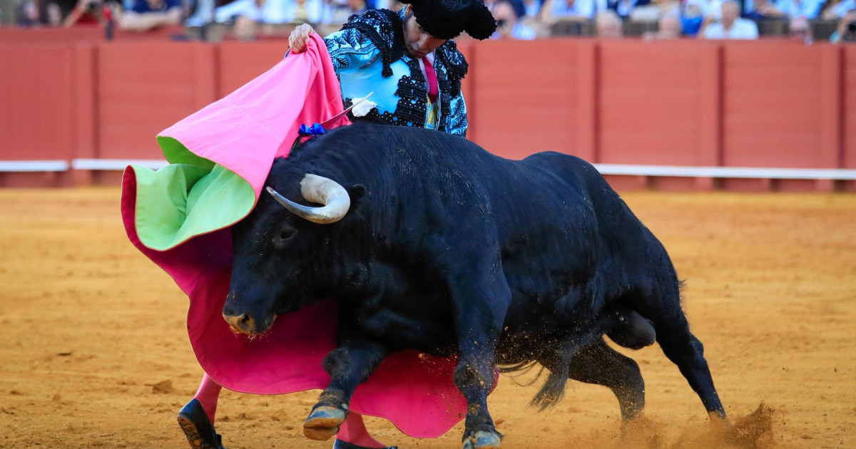 Horario y dónde ver la Feria de toros de San Isidro en televisión