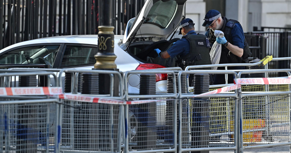 Dejan en libertad al hombre que estrelló el coche contra Downing Street ...