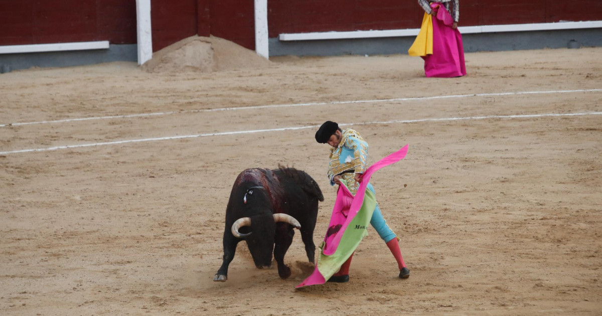 Una pequeña y sencilla guía para entender una corrida de toros
