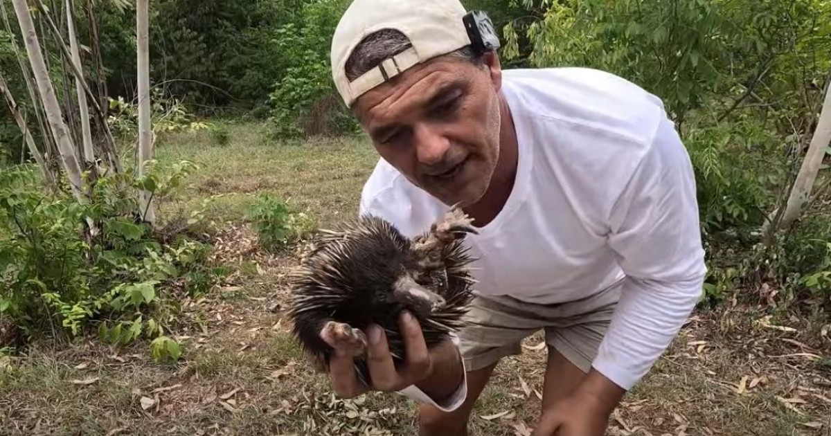 Frank Cuesta recibe al «animal más raro del mundo» en su santuario