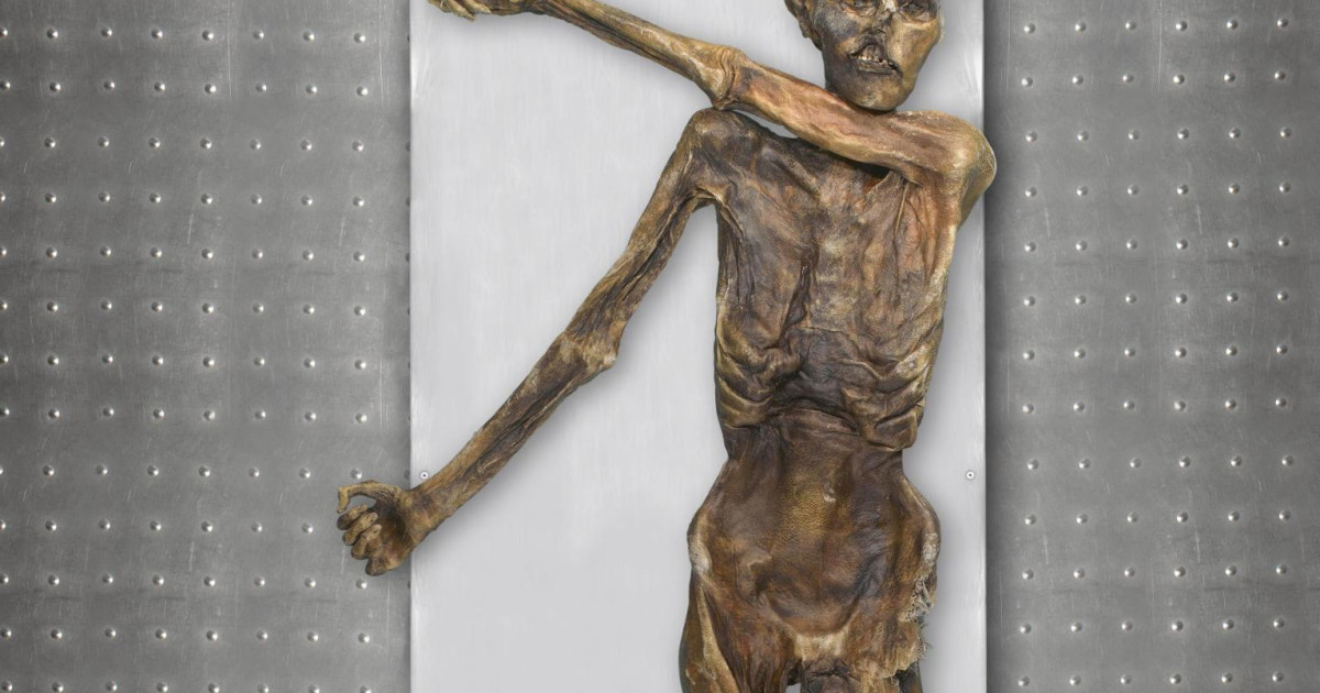 Ötzi, la momia de 5.000 años hallada en los Alpes, no era blanco y ...