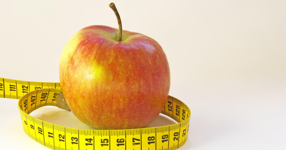 ¿Cuál es la diferencia entre una porción y una ración?