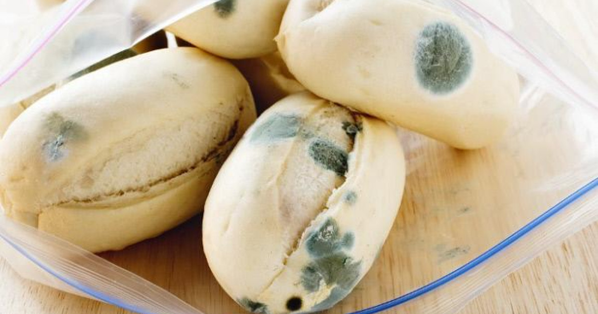 ¿Eres de los que quitan el pan con moho y te comes el resto? Esto es lo ...