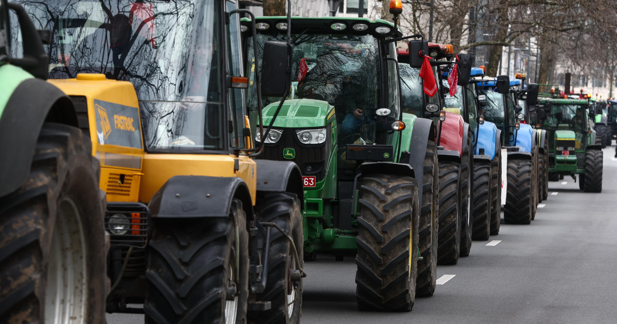 Qué es el barbecho y por qué era tan importante en la batalla entre los ...