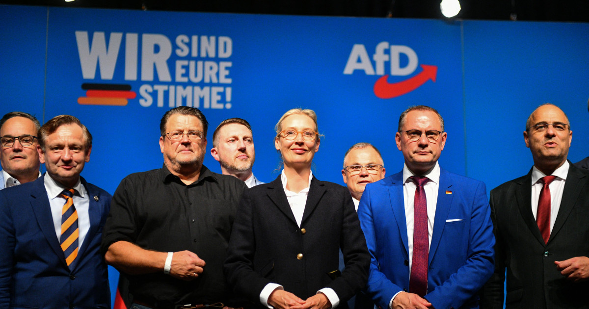 Alternativa para Alemania (AfD) abandona definitivamente su grupo en el ...