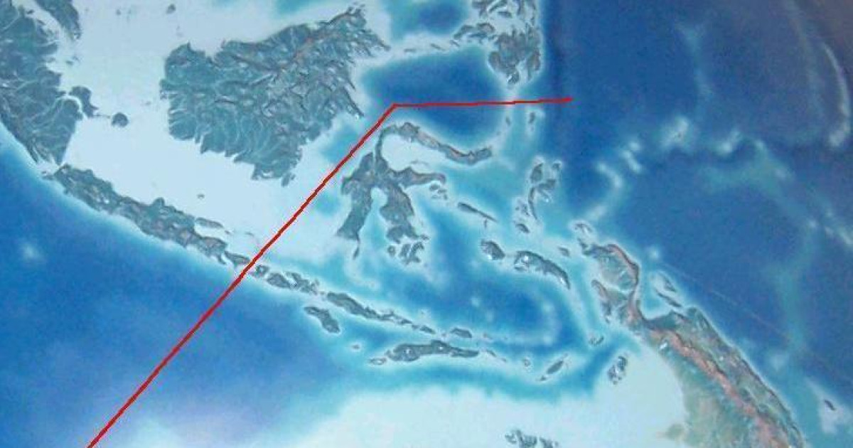 La línea de Wallace: la frontera invisible que ningún animal cruza ...