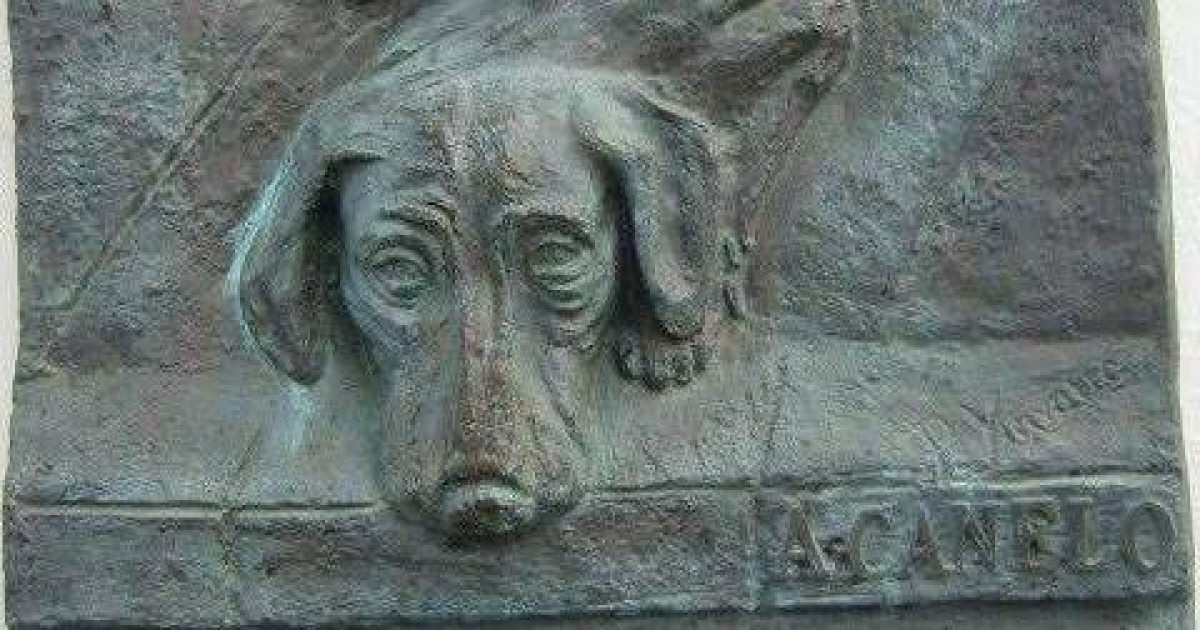 Canelo, el perro gaditano que esperó 12 años en la puerta de un ...