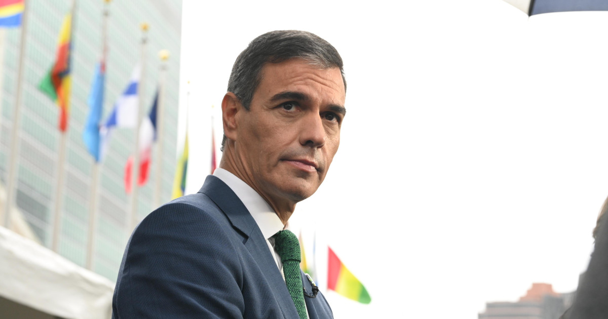 Las vidas de Sánchez, Zapatero y Podemos, en un cajón: nadie compra sus ...