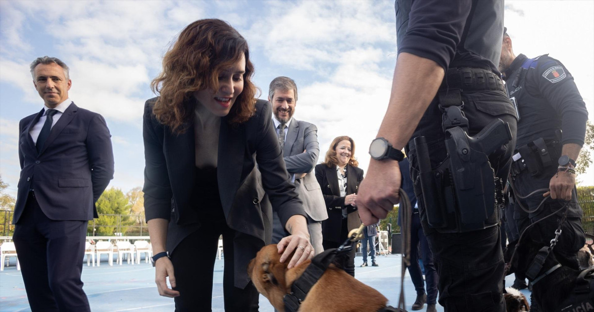 Ayuso lanza el Plan Regional contra las Drogas «para evitar lo peor de ...