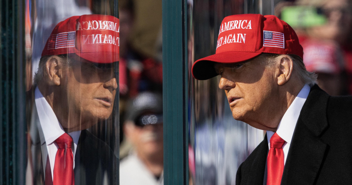 Donald Trump, el elefante herido de las elecciones