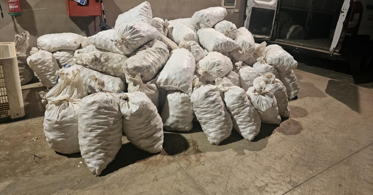 Detenido en Las Pedroñeras por el robo de 3.360 kilos de ajos