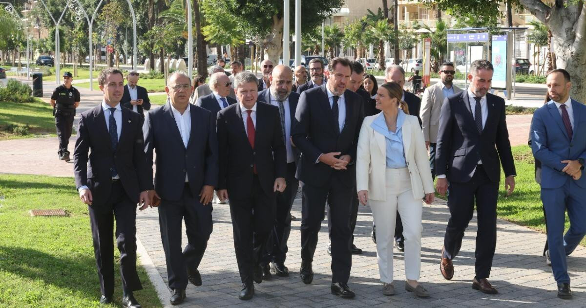 La obra de Óscar Puente que arruina al Paseo Marítimo de Palma: «Tres ...