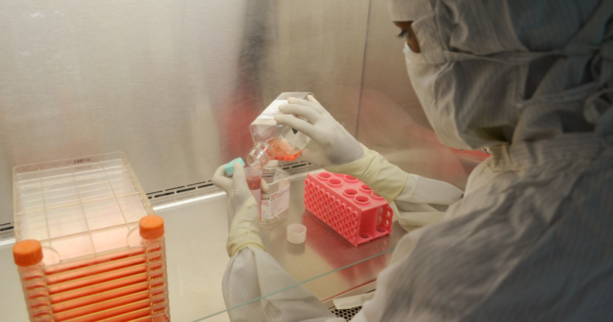 Un antiviral de origen vegetal, eficaz contra la variante Delta de la ...