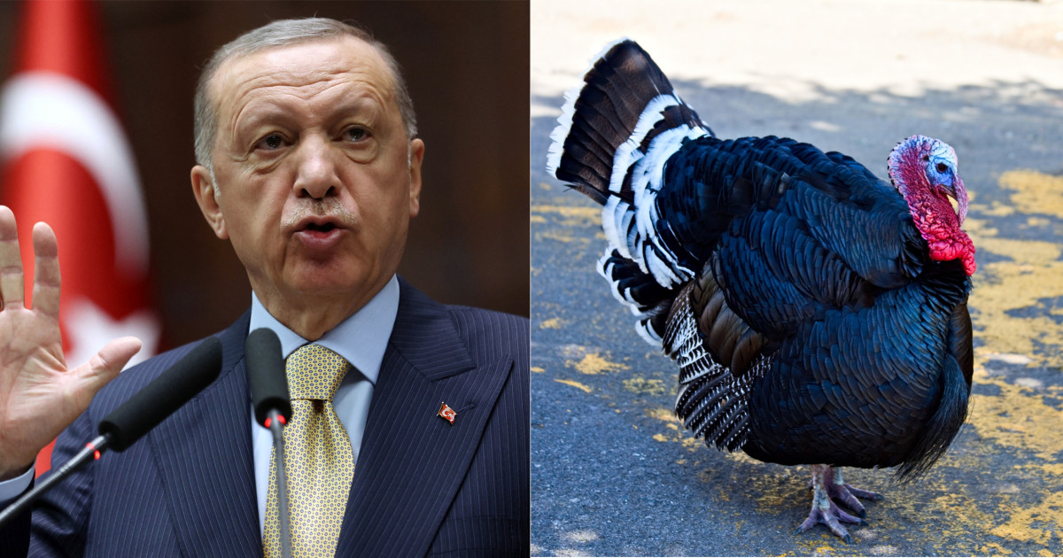 Fin de la edad del «pavo»: Turquía se cambia de nombre