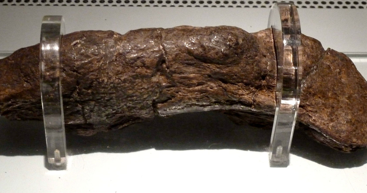 La importancia arqueológica de encontrar una caca humana vikinga