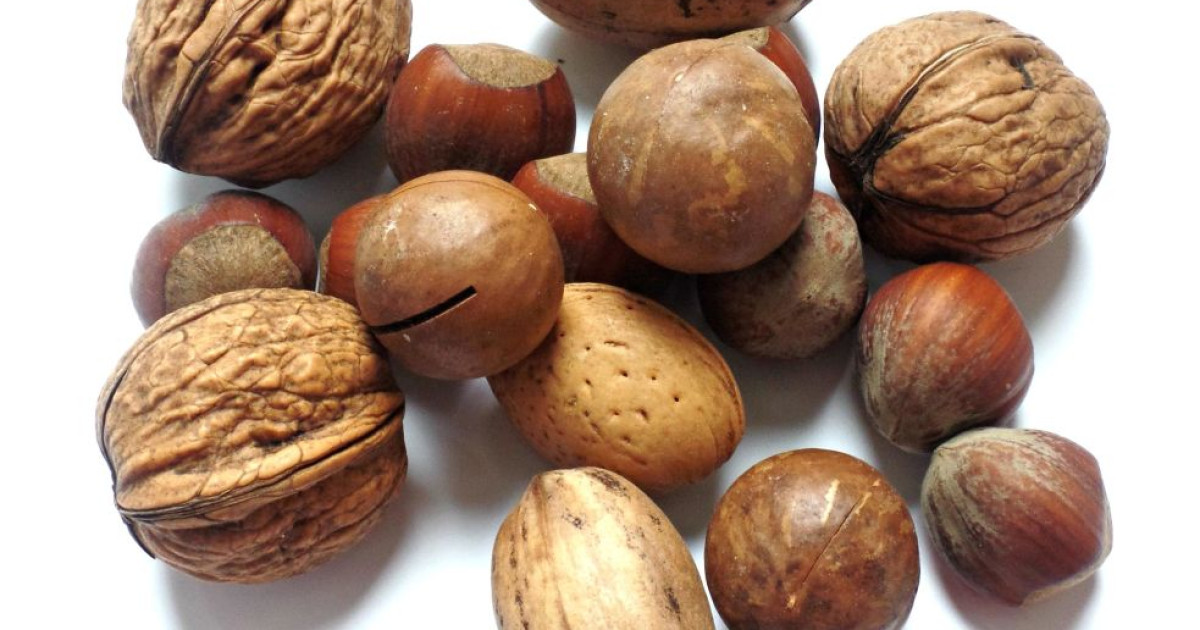 El fruto seco que el doctor Rojas recomienda para cuidar el corazón y ...