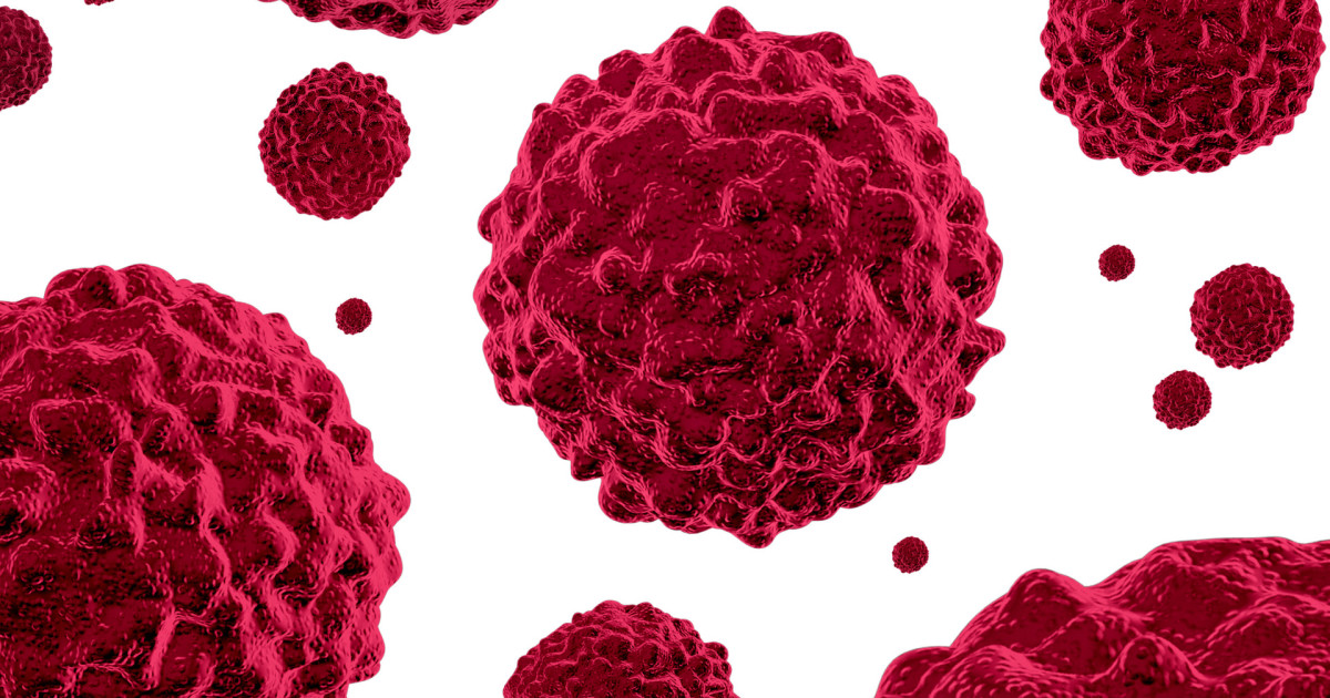 La grasa que rodea los tumores de próstata potencia su agresividad