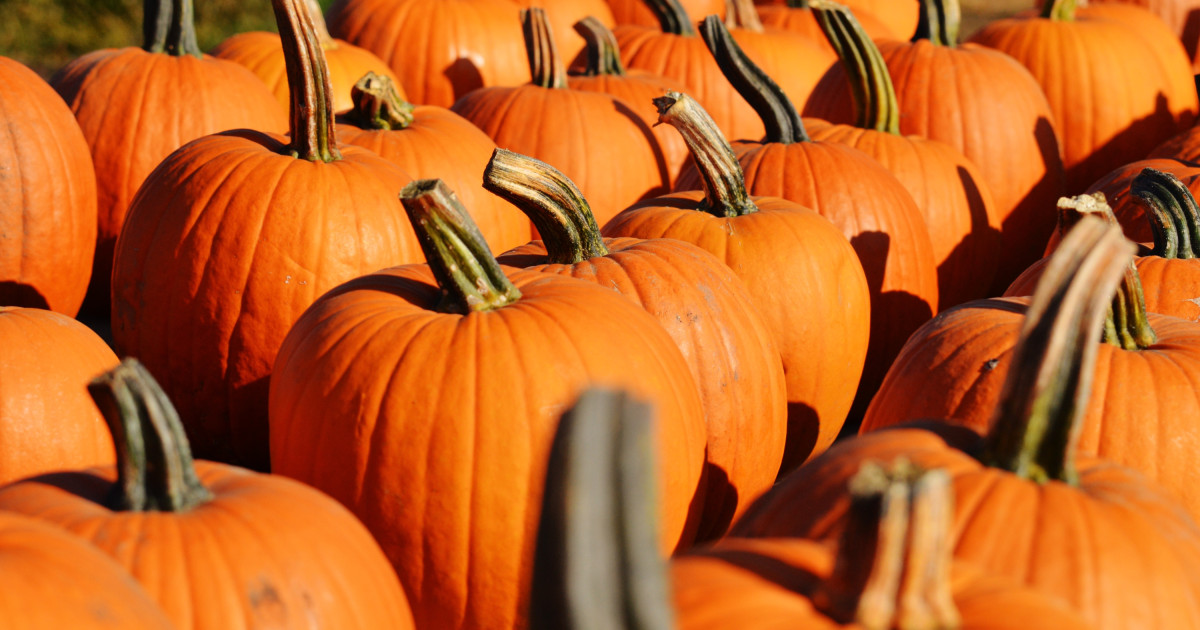 Alimentos naranjas: los productos de temporada para este otoño