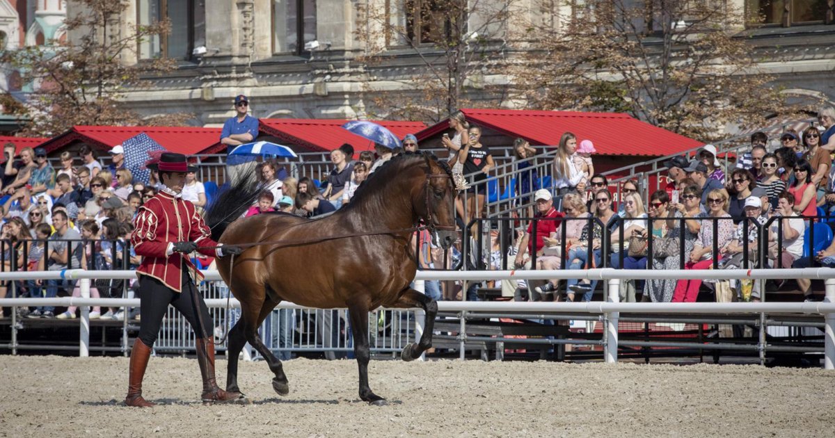 La marca 'Córdoba' se hace fuerte en Italia durante 2022 gracias al caballo