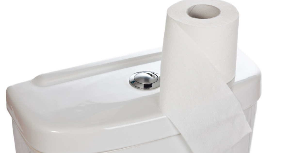 ¿Se debe tirar el papel higiénico a la basura o al inodoro?