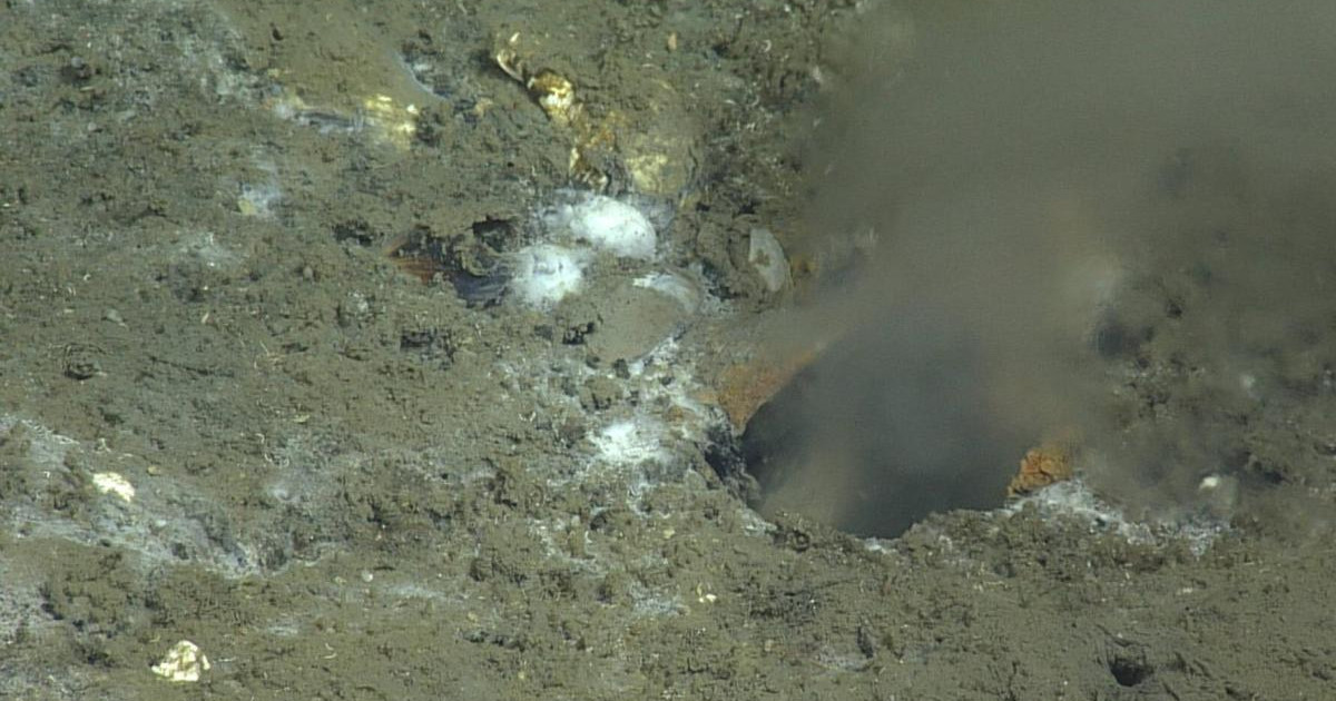 Hallan una grieta en el lecho marino del Pacífico que podría provocar ...