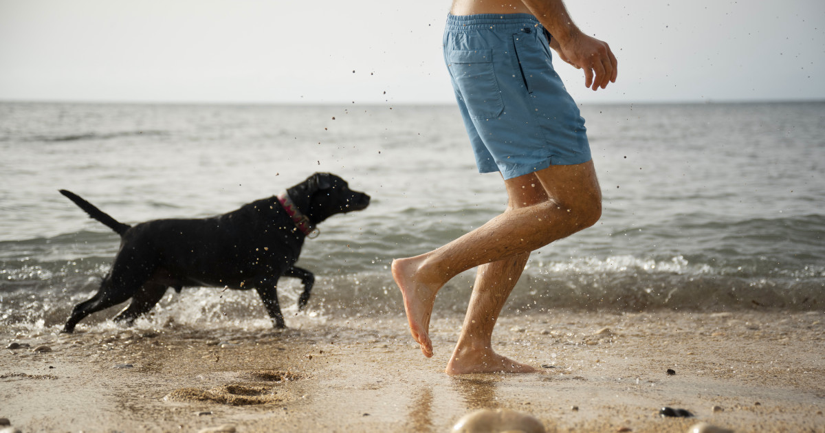 En este pueblo de Cádiz los perros solo pueden pisar la playa y el ...