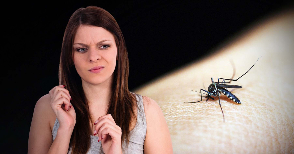 ¿Cómo podemos evitar las picaduras de mosquitos?