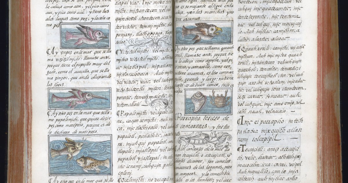 Digitalizan el Códice Florentino, el texto más antiguo sobre la vida ...