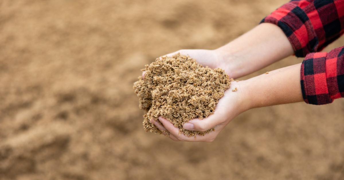 Qué es el bagazo, el residuo de la cerveza que puede cambiar la ...