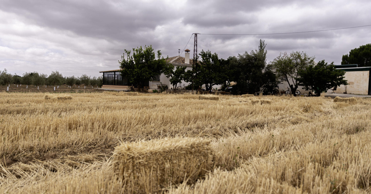 Fin de semana trágico en Antequera: hallan muerta a una mujer estrangulada supuestamente por su ...