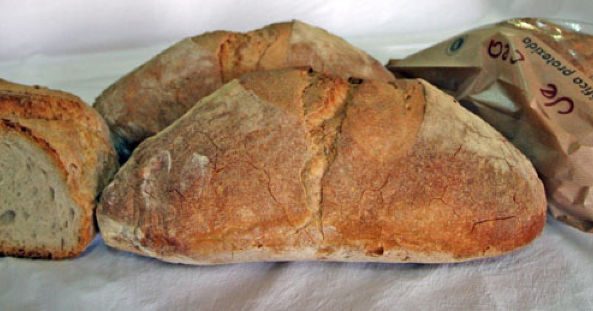 Estos son los panes que no puedes dejar de probar si viajas a Galicia