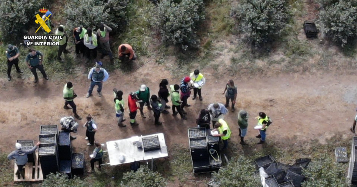 Multas de 850.000 euros para dos empresas implicadas en una trama de ...