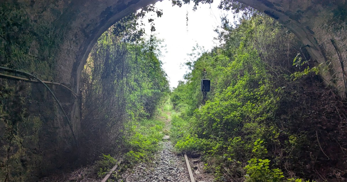 El rincón de La Coruña que la naturaleza ha engullido y que puede ...