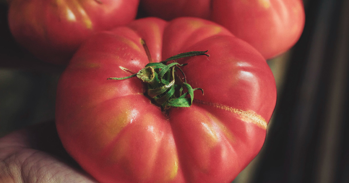 Cómo saber si un tomate está maduro y cuál es la mejor forma de conservarlo