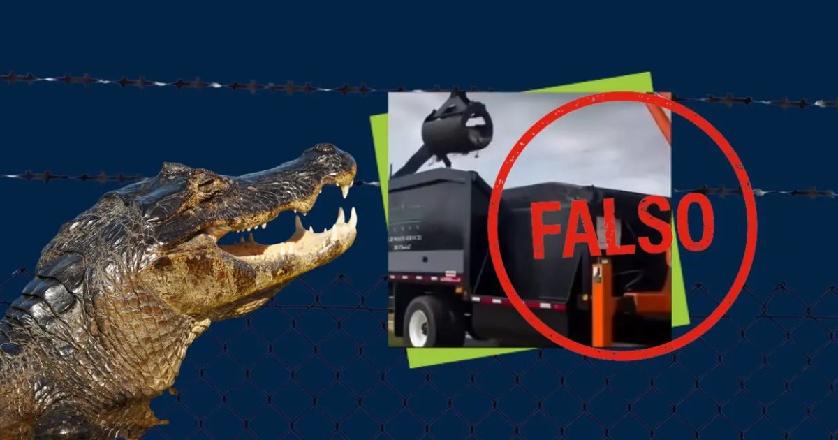 ¿Es verdad que han llevado un caimán a 'Alcatraz caimán', la cárcel ...