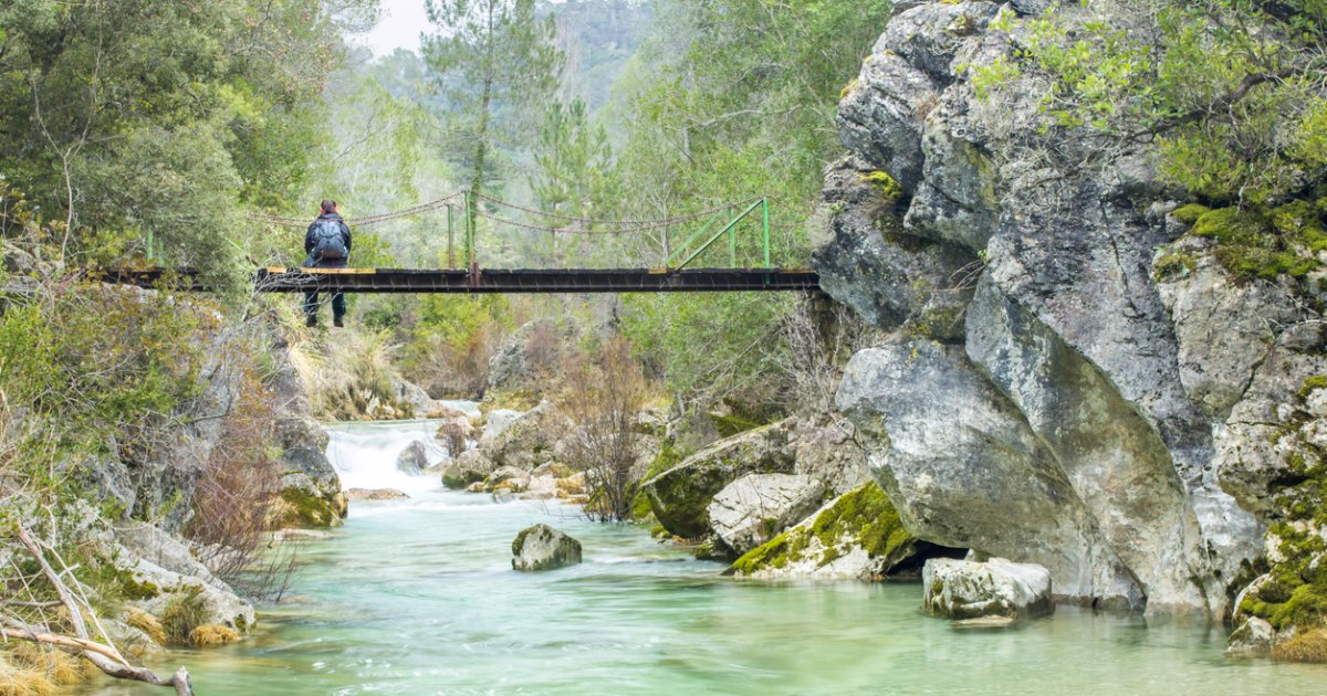 La espectacular ruta por las pasarelas del río Borosa en la sierra de ...