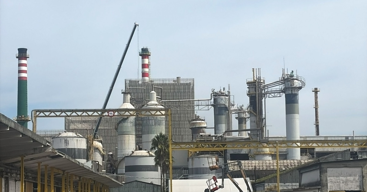 Guerra abierta en Ence: la empresa anuncia 39 despidos y los ...