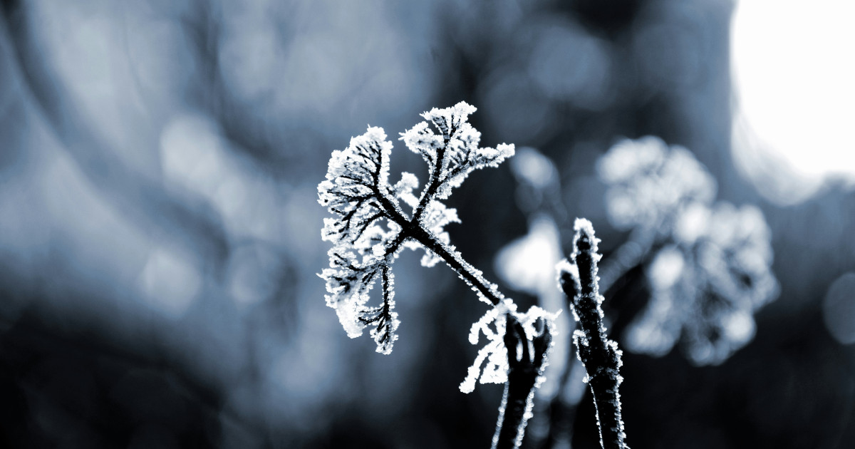 El aliento del Ártico congela Castilla-La Mancha: primeras heladas del ...