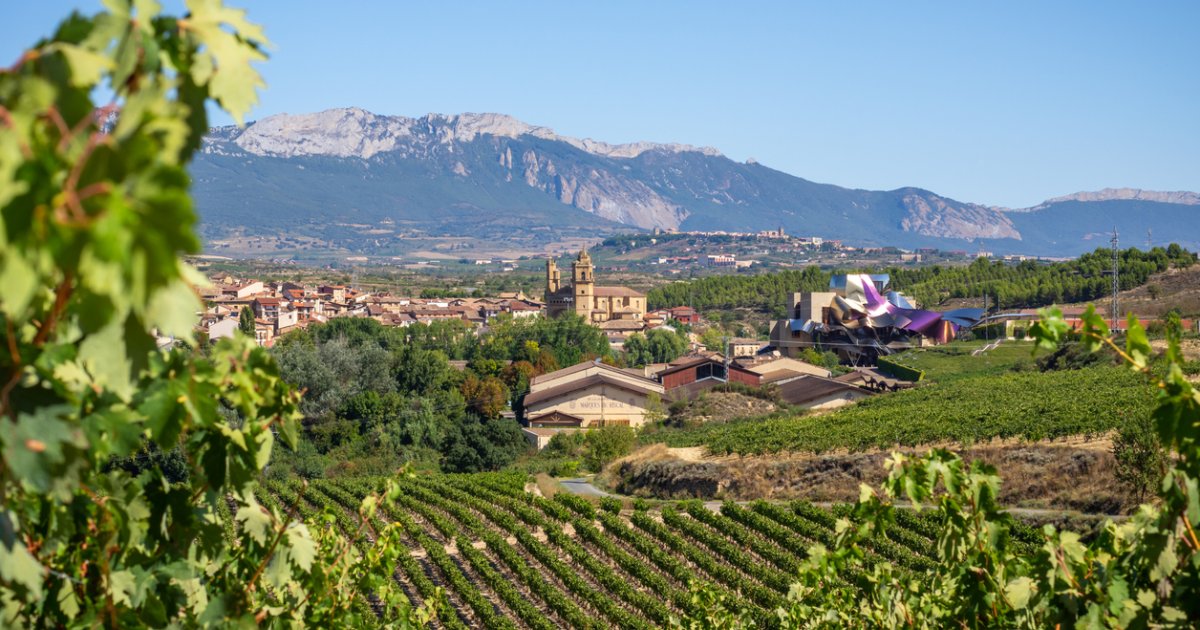 Bodegas de la Rioja Alavesa ofrecen visitas gratuitas por el 20º ...
