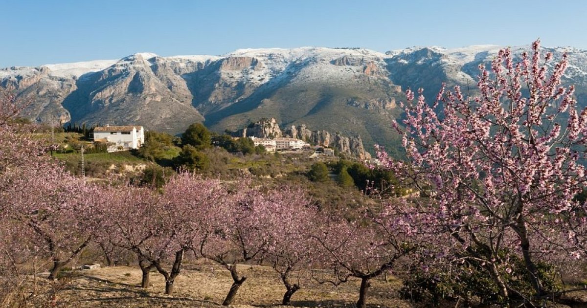 La escapada perfecta para ver almendros en flor esta primavera que ...
