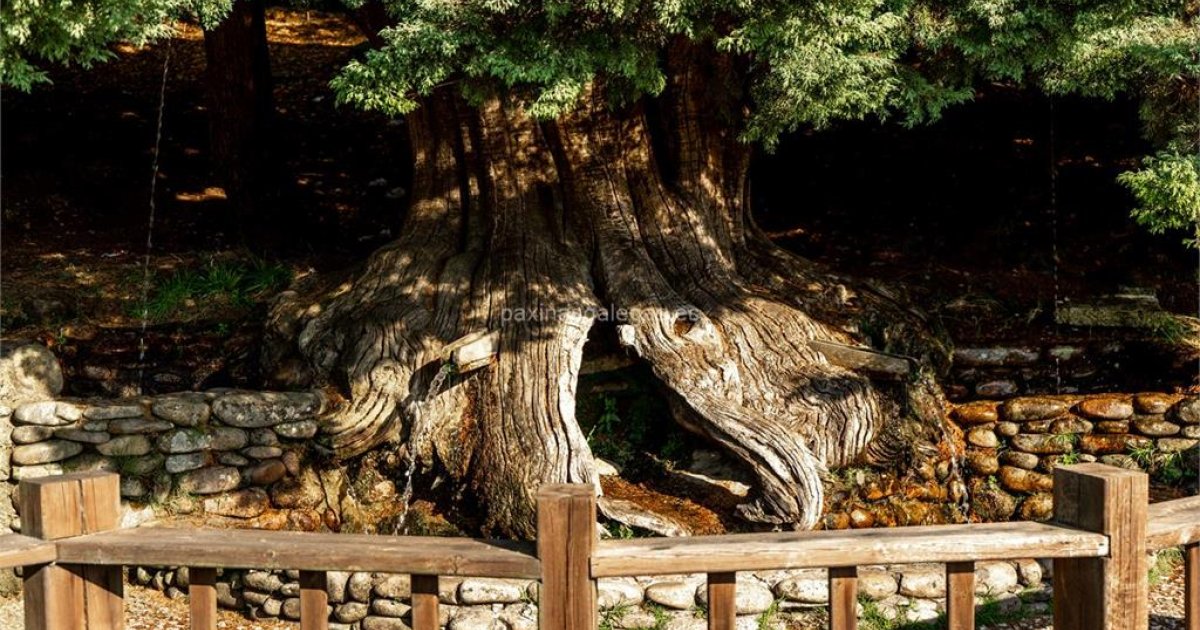 Una de las fuentes más originales de España está en Galicia: así es el ...