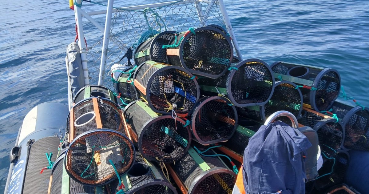 Golpe al furtivismo en la ría de Arosa: decomisan 55 kilos de pulpo y ...
