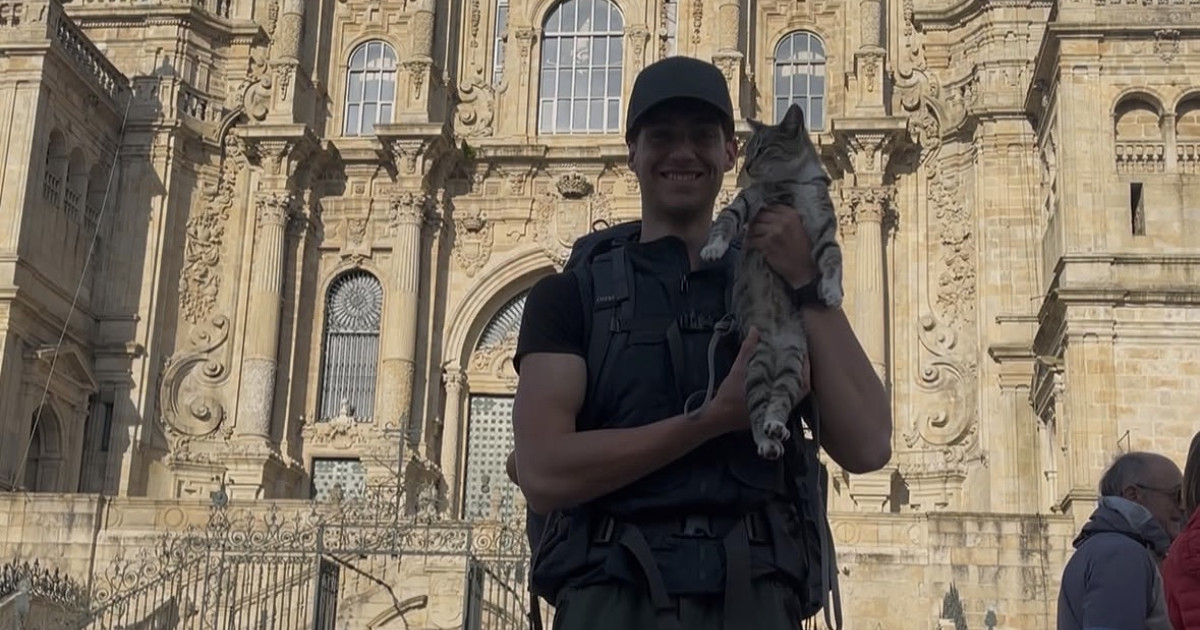 La historia de Santi, el gato que siguió a un peregrino en el Camino de ...